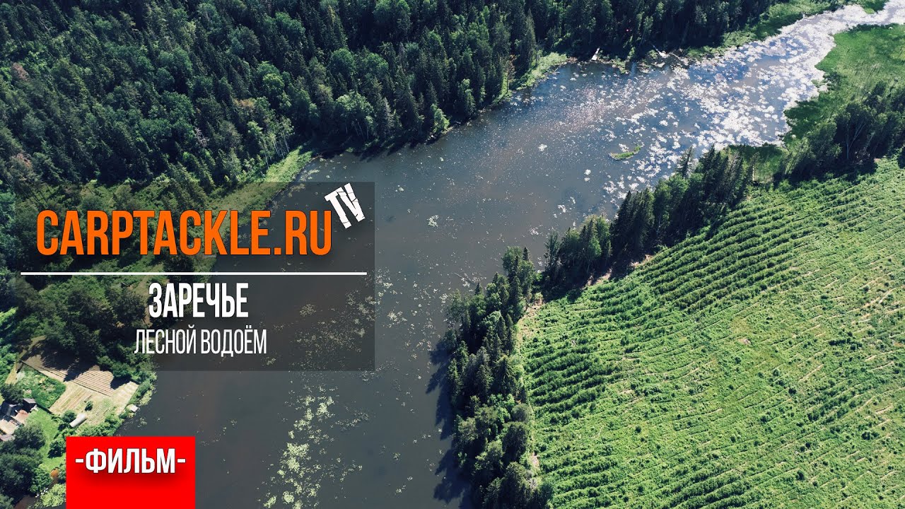 Карпфишинг: Лесной водоём - ловля карпа в Заречье. Эпизод 15