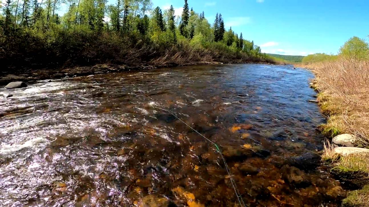 Рыбалка 2023. Первая продуктивная рыбалка сезона.