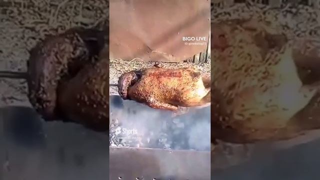 16 апреля 2023 г. (6)