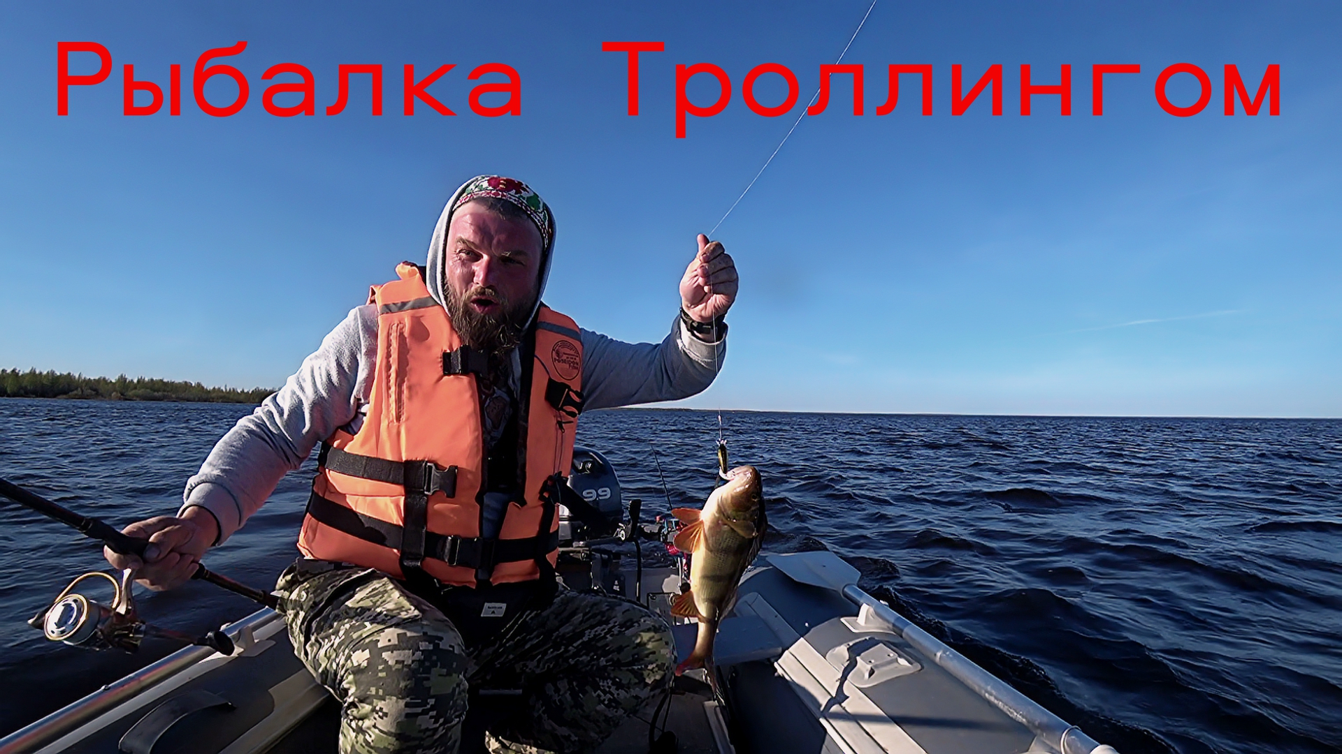 Рыбалка Троллингом. Озеро Лача. Ловля Судака Щуки Окуня. Часть-3