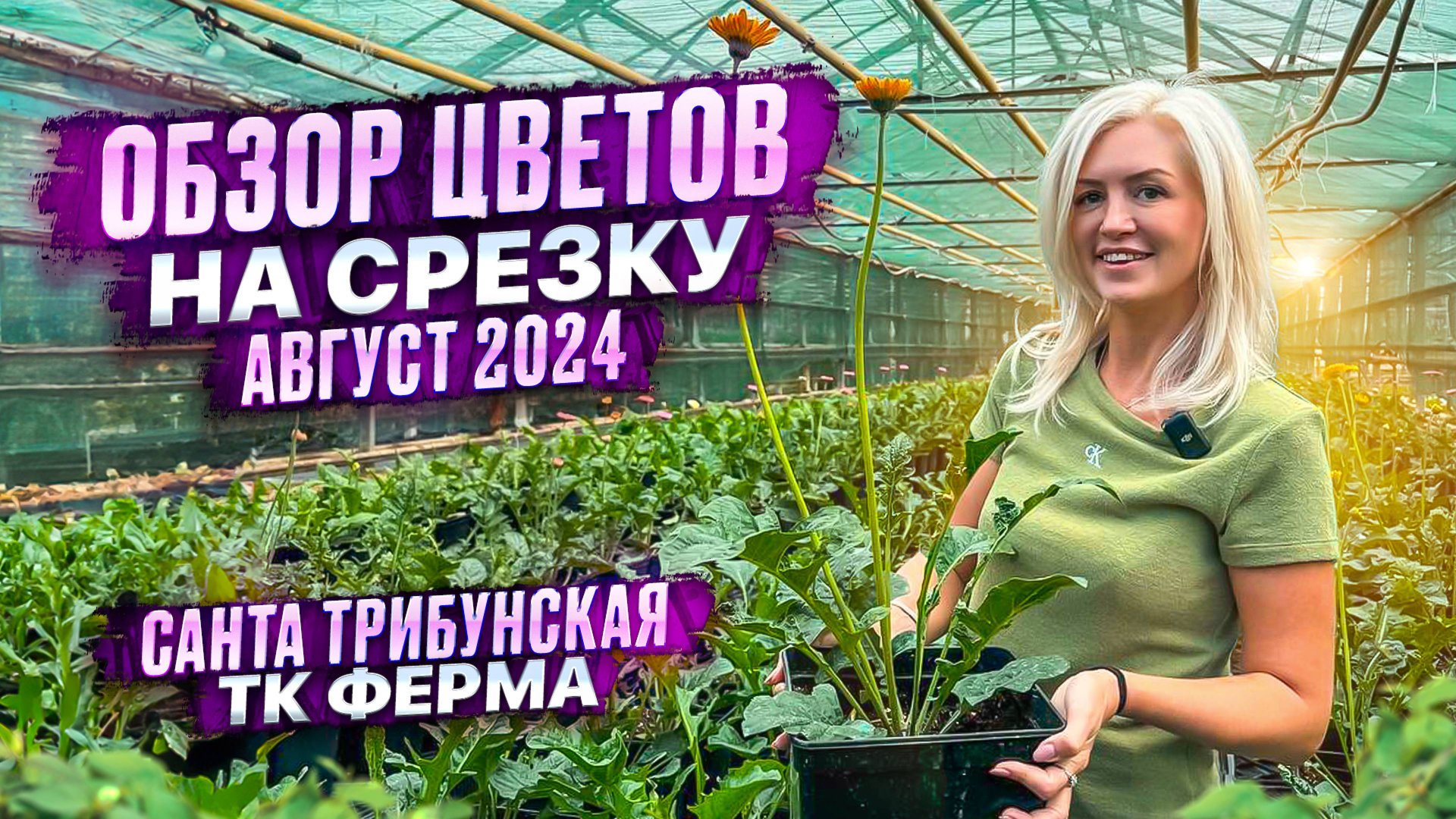 ОБЗОР ЦВЕТОВ НА СРЕЗКУ. ТК ФЕРМА