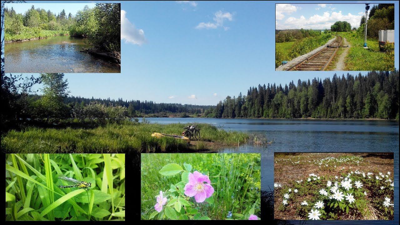 Explay Fresh - природа на фотографиях снятых камерой этого смартфона (слайд-шоу)