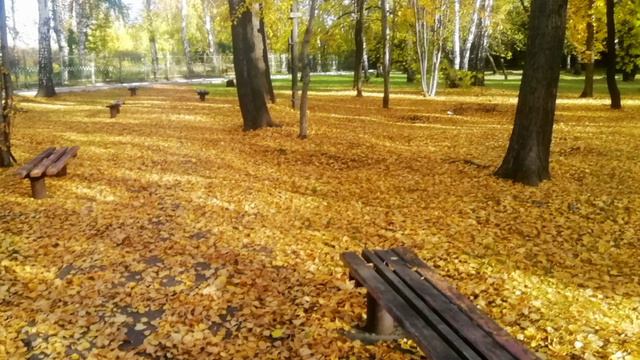 Ну здравствуй,Сентябрь! Ждём от тебя теплых и солнечных дней!