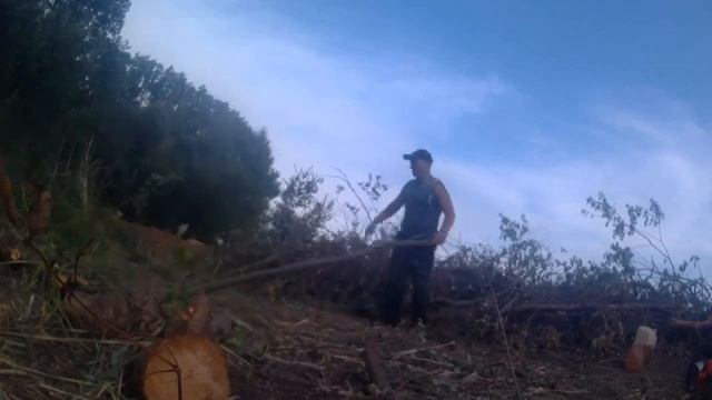 чистка и улучшение моего пруда участка