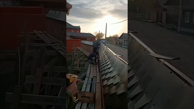 Кровельная чешуя . Таймлапс