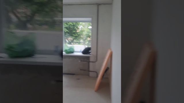 ч9. Реанимируем старую квартиру. #ремонт #квартира #ремонтквартир #артифакт