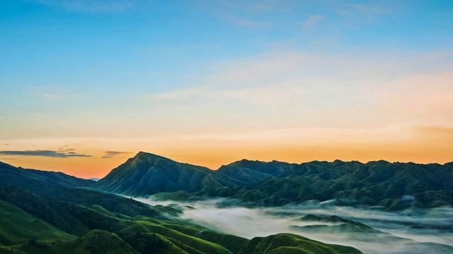 Arnd Stein. Morning Dew