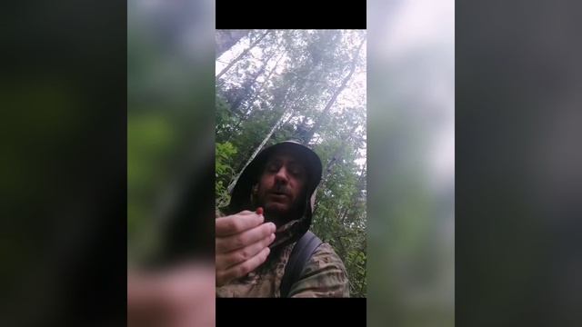 ЗЕМЛЯНИКА/ЛЕС/Кайфуем!