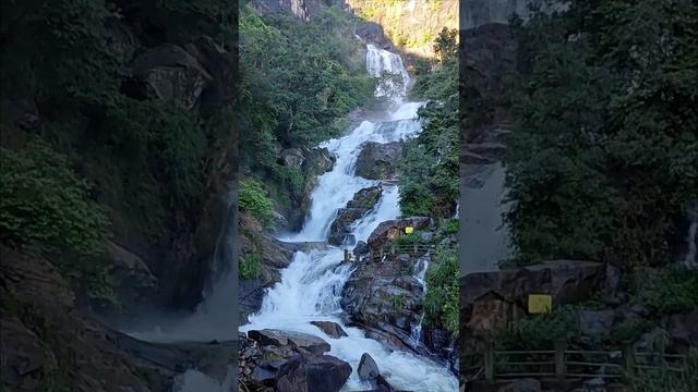 Шри-Ланка. Водопад Равана экскурсия Элла цена.
Шри Ланка за 58 тысяч рублей с перелетом. Тутси влог.