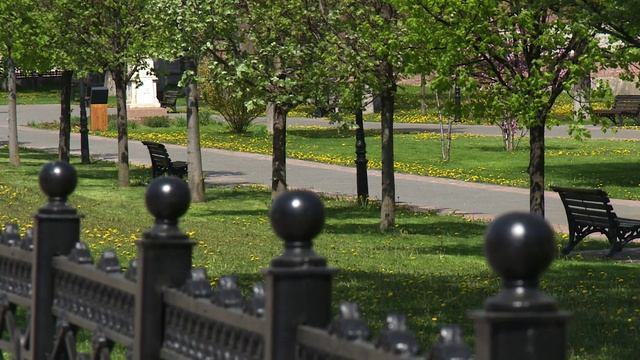 "Коронастимул"/Автор Октябрьская Анастасия Андреевна