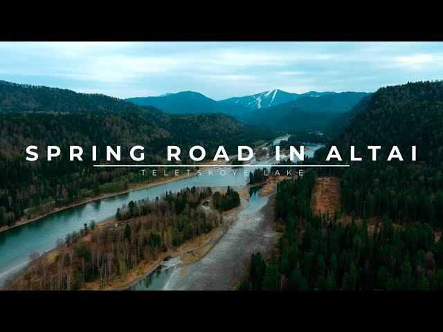 Весенняя дорога по Алтаю. Артыбаш - озеро Телецкое. Дронозарисовка  | Cinematic Travel Video (4K)