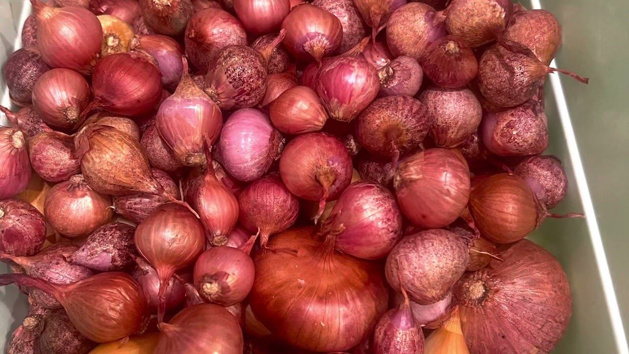 Готовлюсь к посадочному сезону