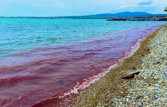 Чёрное море окрасилось в красный цвет
#Russia #BlackSea #Redwater