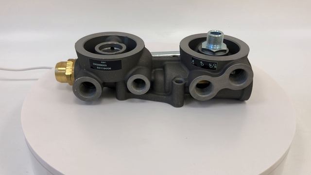 Суппорт в сборе (+ MPV 71C M24x1,75) для GE 5,5-15 2202999203