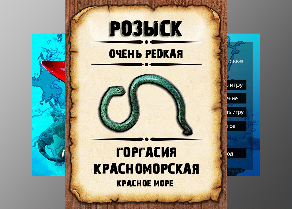 Редкости рр3. Горгасия красноморская рр3. Красное море.