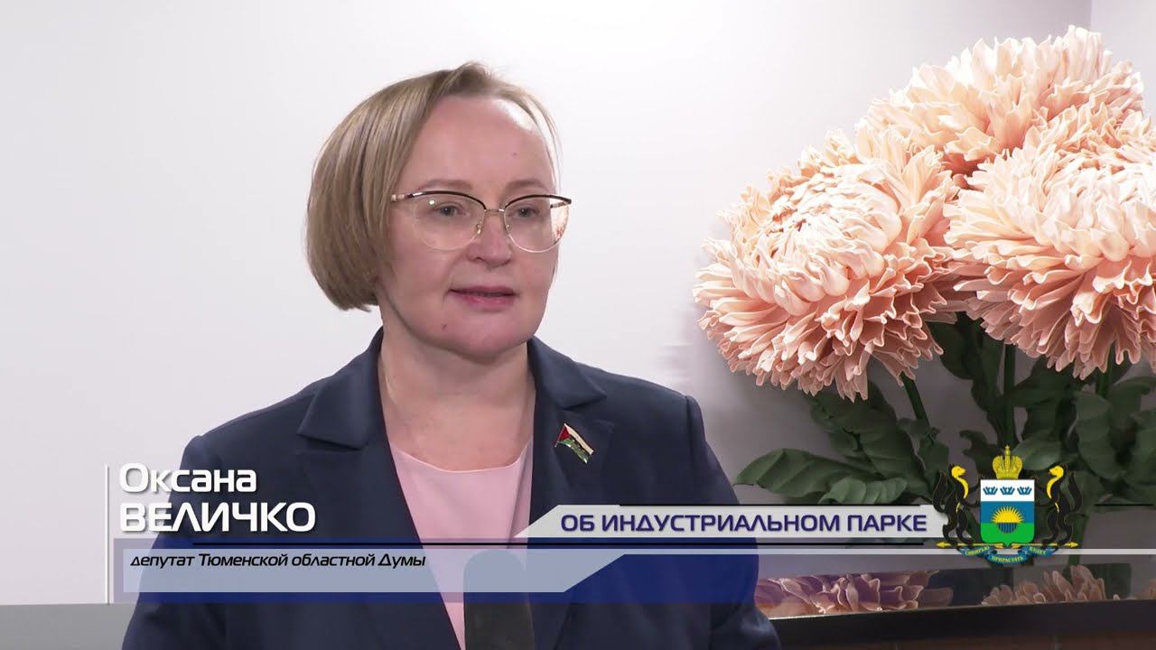 Оксана Величко об индустриальном парке