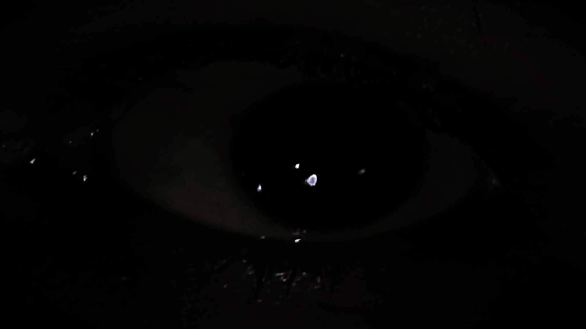 ЛИХО ОДНОГЛАЗОЕ - ПРОХОЖДЕНИЕ - ДЕМО