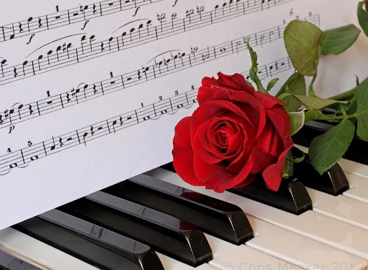 Не заслужил. Автор текста Эль Твит. Стихи.