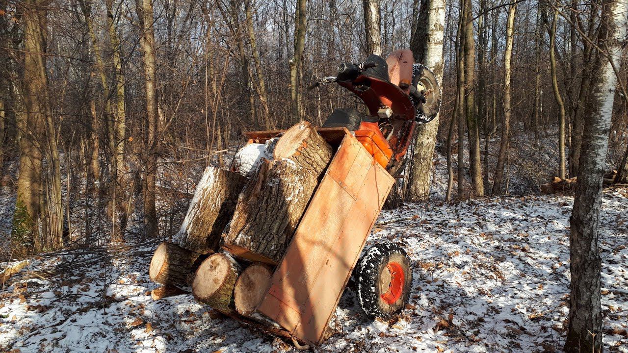 Дачные будни. Муравей в деле.