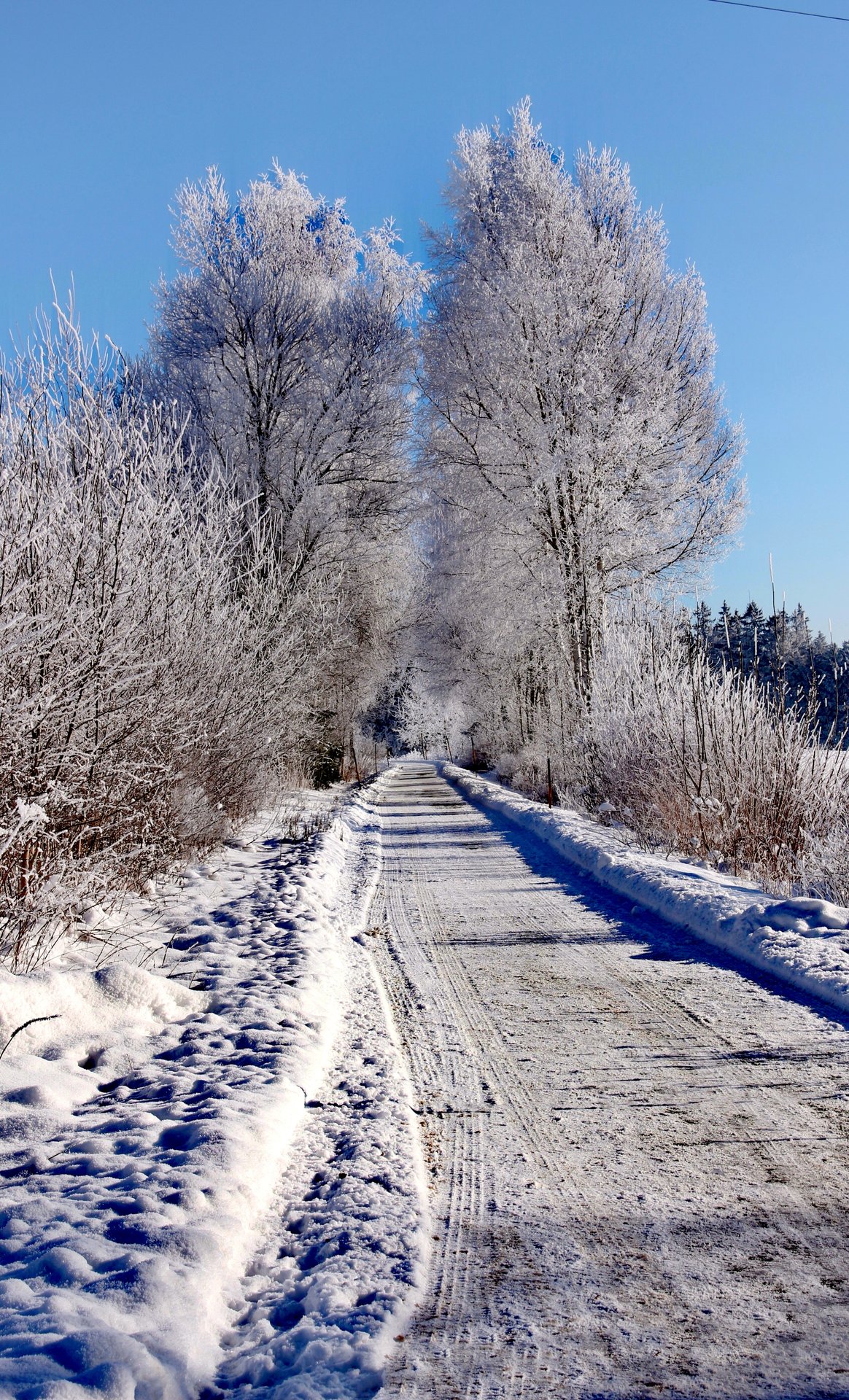 ❄️ С добрым зимним утром!