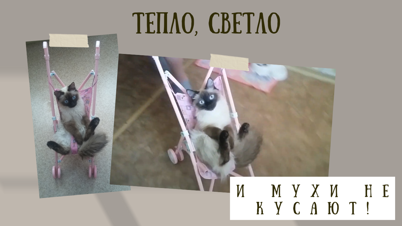 Катается на детской коляске