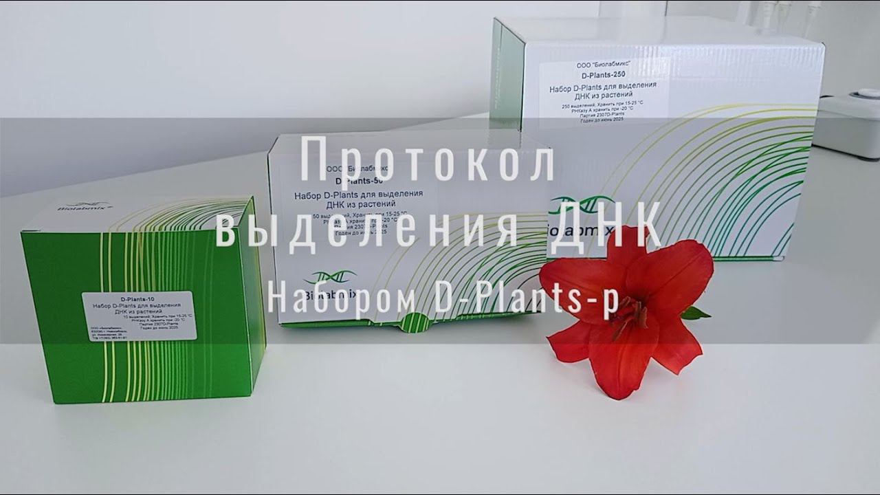 Видеоинструкция Биолабмикс - выделение ДНК из растений набором D-Plants