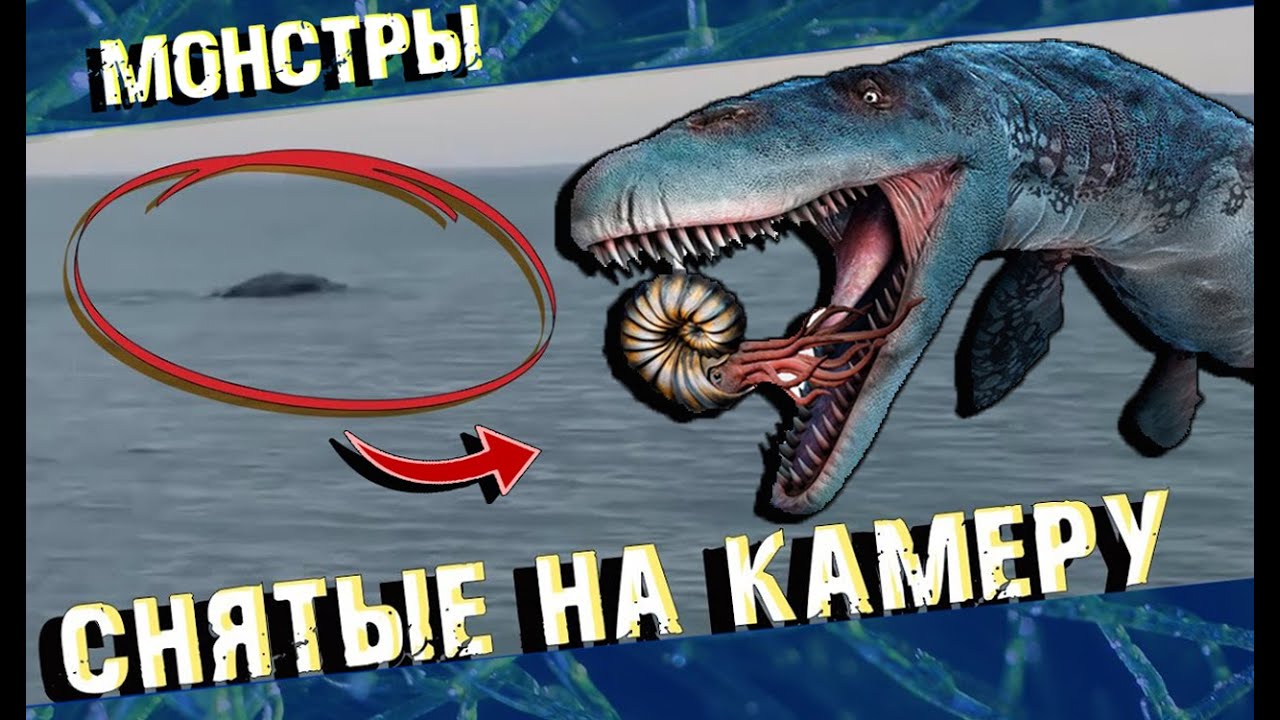 Подводные Монстры снятые на камеру - собратья Блупа