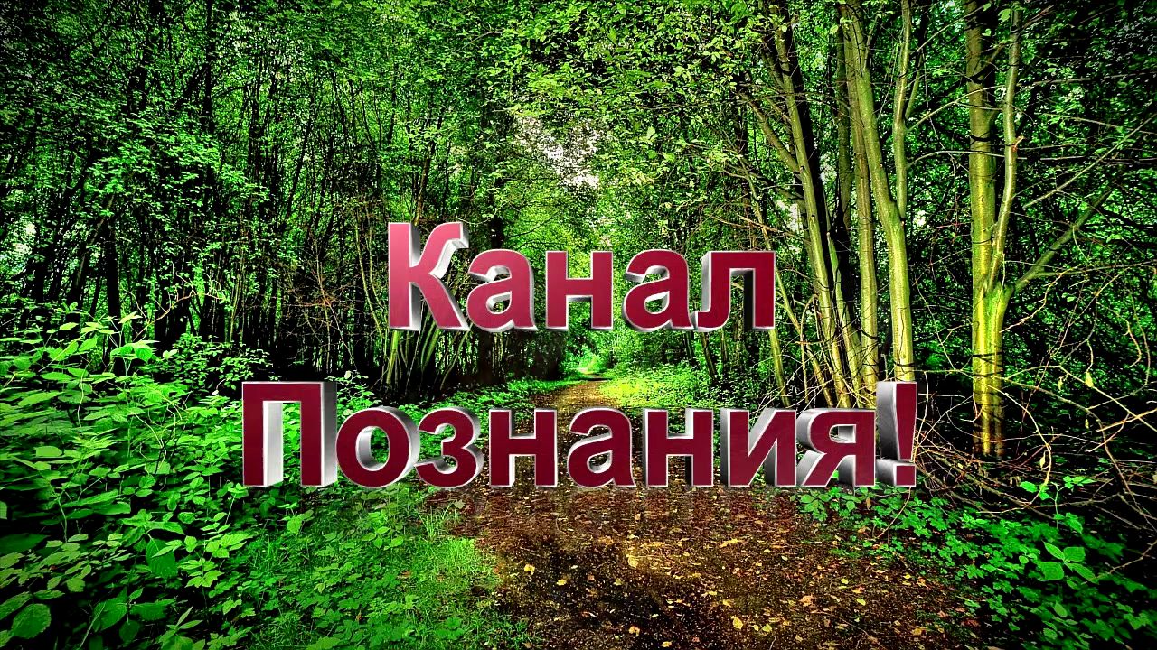 Поразительная История.