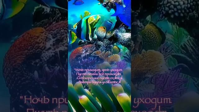 Ночь приходит, день уходит