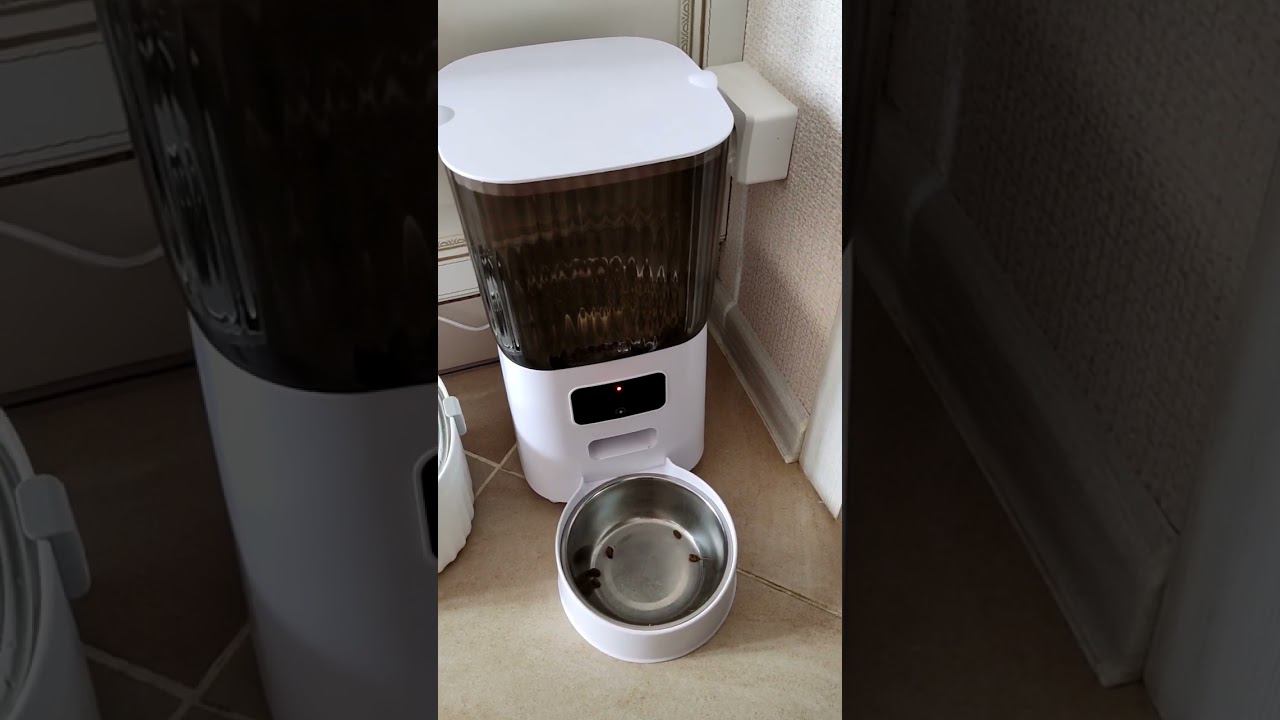 Обзор на Автокормушку для кошек с таймером, с WI-FI и приложением Smart Life