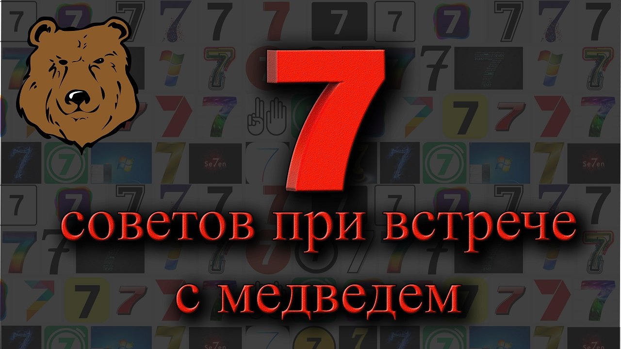 Встреча с медведем - что делать?