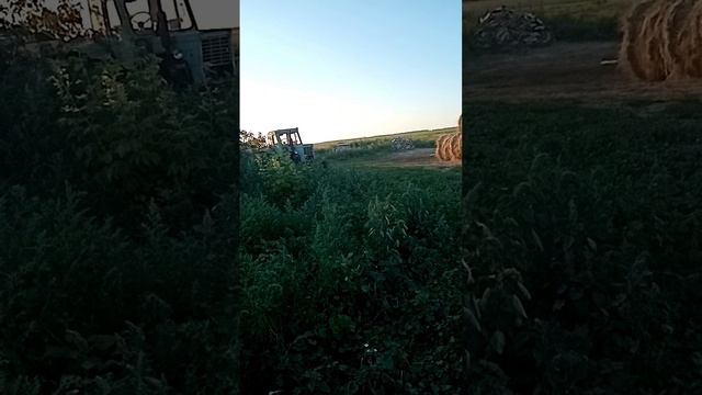 сенокос продолжение