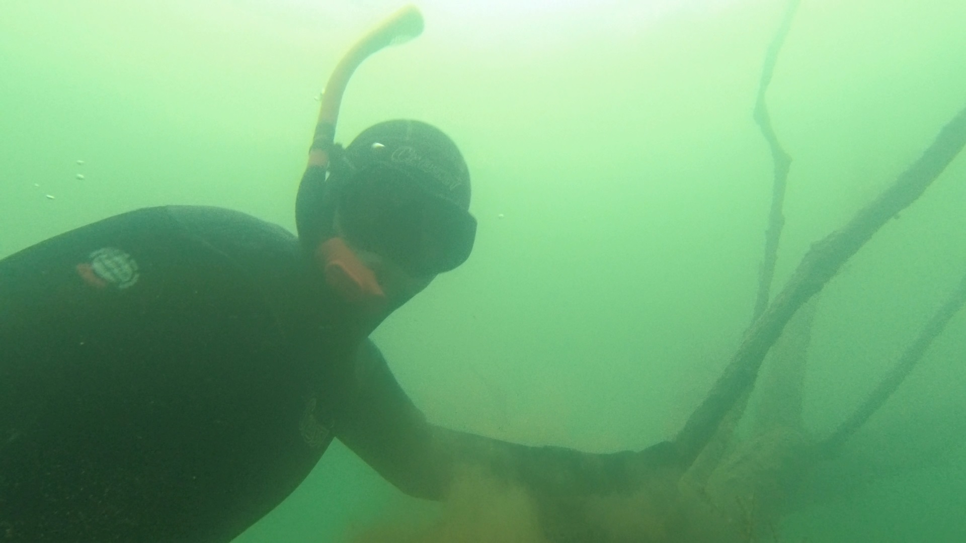 Синявинский карьер. Подводный лесной туман.