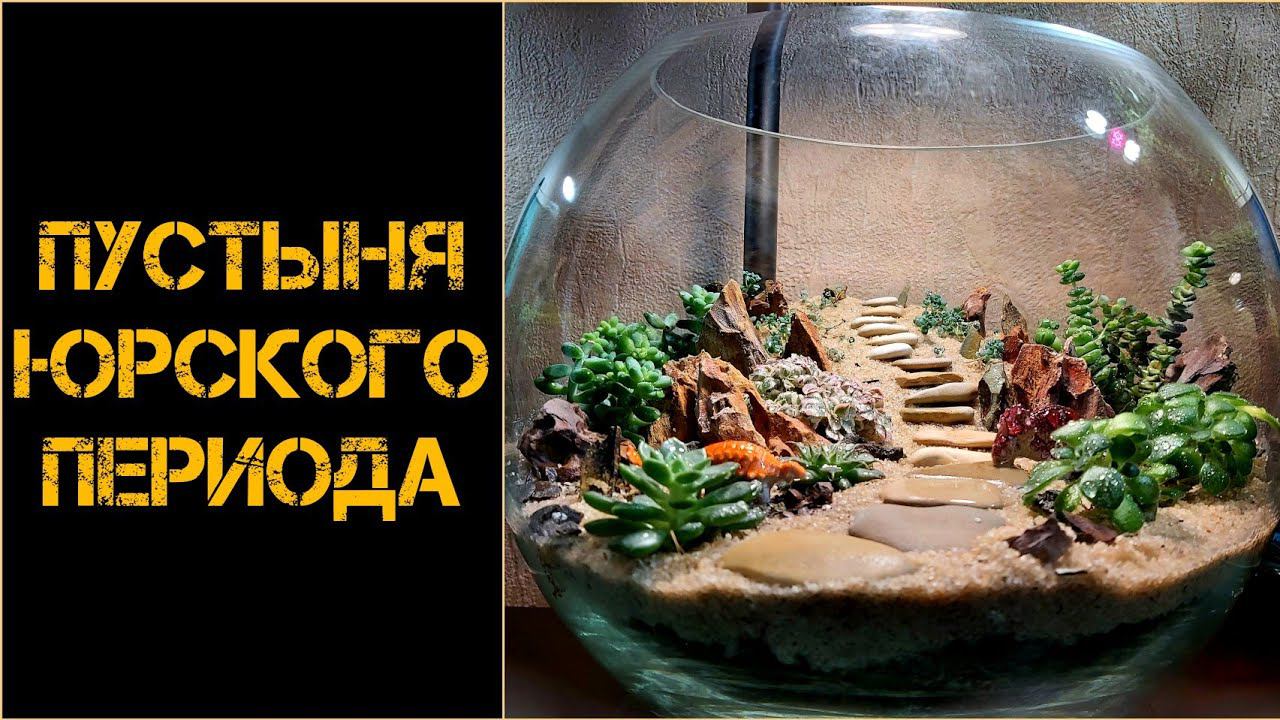 Пустыня юрского периода. Флорариум из суккулентов.