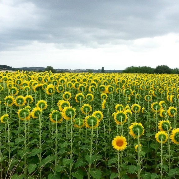 Советский Союз.mp4