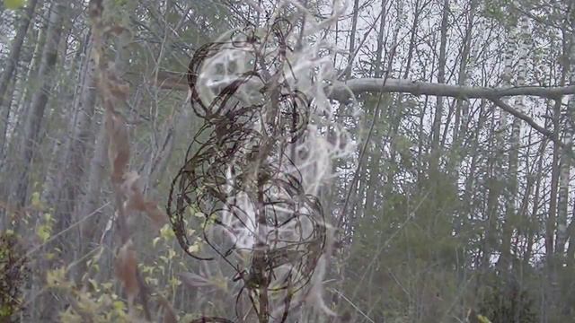 Славная осень