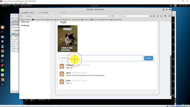 13. OWASP A4 XML External Entities (XXE)