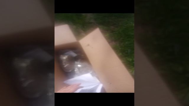 Распаковка рассады клубники агромаркет24 апрель 2024 года