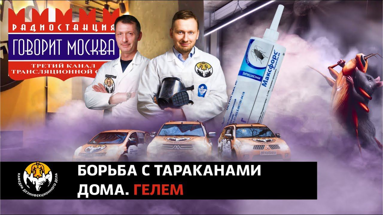 Борьба с тараканами дома. Гелем. Легко и просто. Врач рассказал секрет в эфире радио"Говорит Москва"