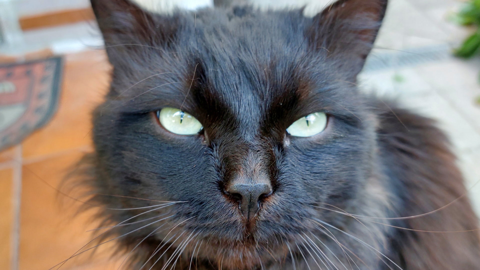 МУЖСКОЙ РАЗГОВОР.