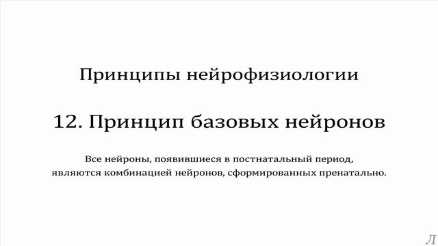 9.12 Принципы нейрофизиологии. Принцип базовых нейронов