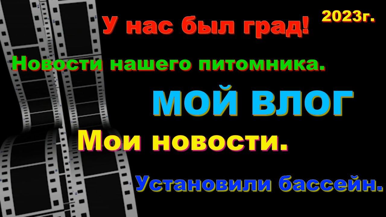 ВЛОГ. У нас был град! Новости нашего питомника. Установили бассейн. Влог.