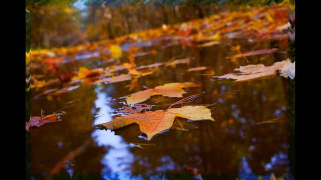 ПЕСЕНКА осень наступила дождик моросит ЗОЛОТОЙ ЛИСТОЧЕК