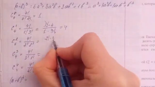 Бином Ньютона.Треугольник Паскаля.