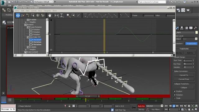 11. Completing our work on the vertebrae