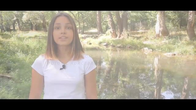 Работа-победитель конкурса _Уютный класс_ 2018.mp4