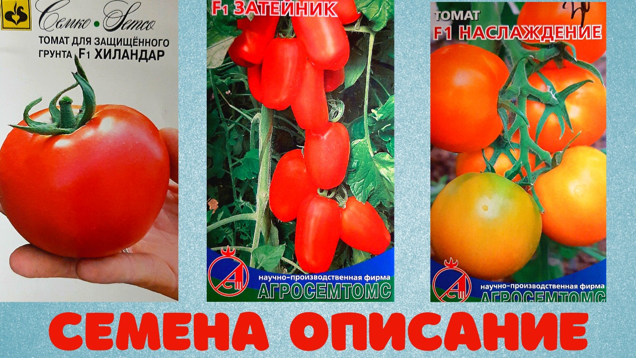 Семена томатов на 2021 год.