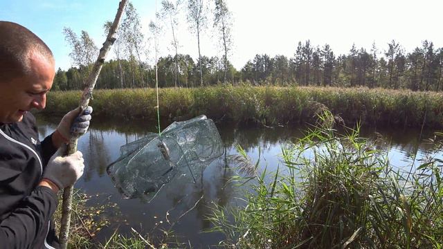 Ловля раков раколовками. Вареные раки