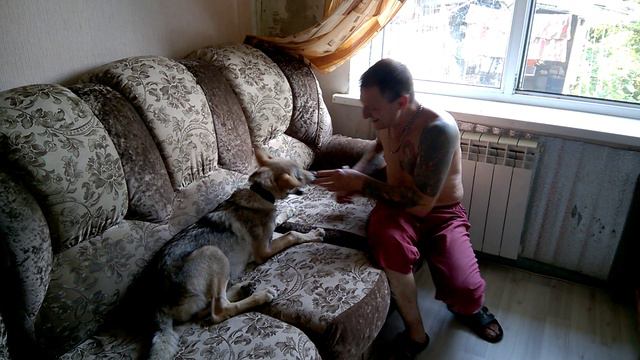 WP_20190729 Дикуша