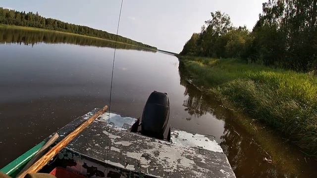 моменты улова рыбы за август 2021.